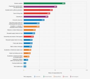 GLOBAL RISK PROFILE IN 2024 – Maslow